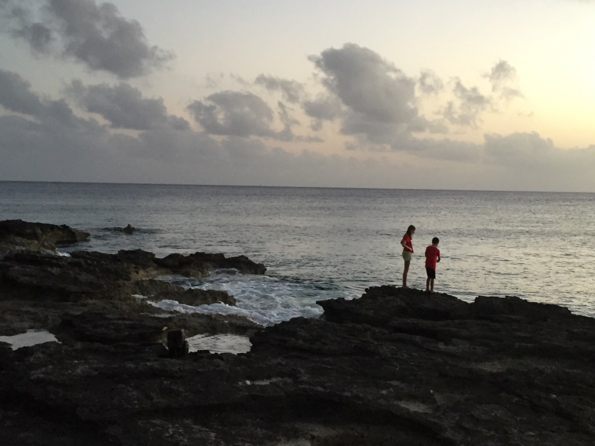 Looking Under Rocks – Under an Endless Sky